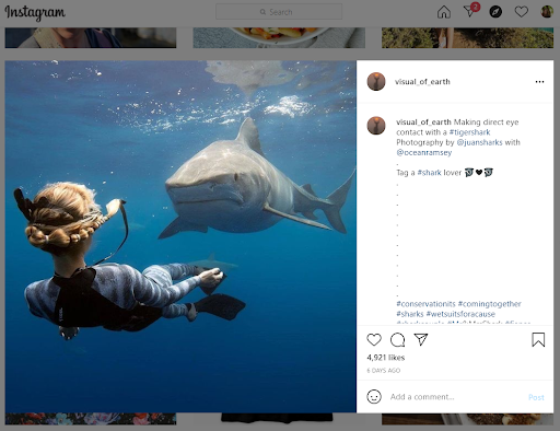 25 Instagram Post Ideas For Influencers To Boost Engagement in 2022